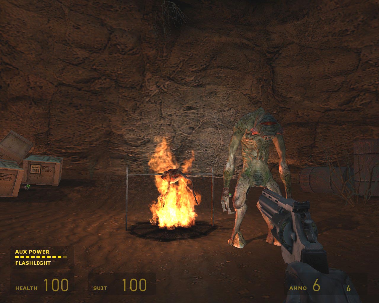 Half Life 2 Tips